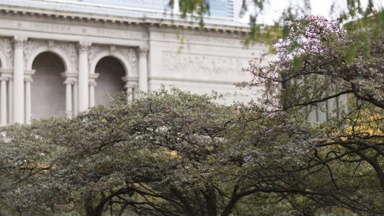 Land Acknowledgment Ceremony - The Visualist