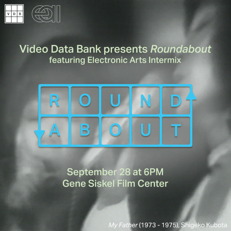 Roundabout - The Visualist