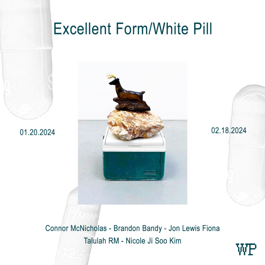 Excellent Form/White Pill - The Visualist