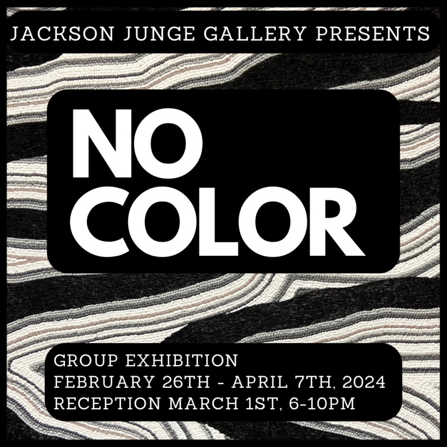 NO COLOR - The Visualist