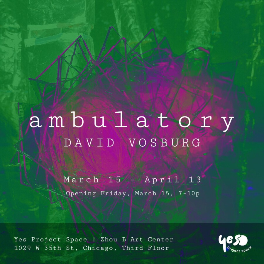 David Vosburg: ambulatory - The Visualist