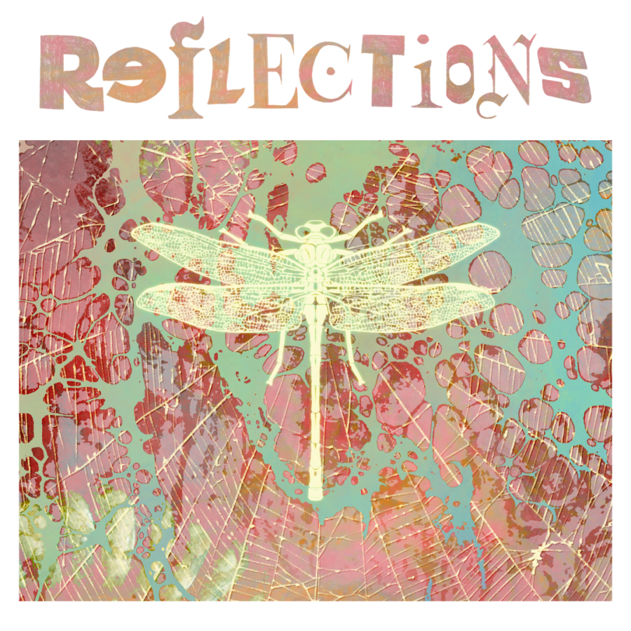 Reflections - The Visualist