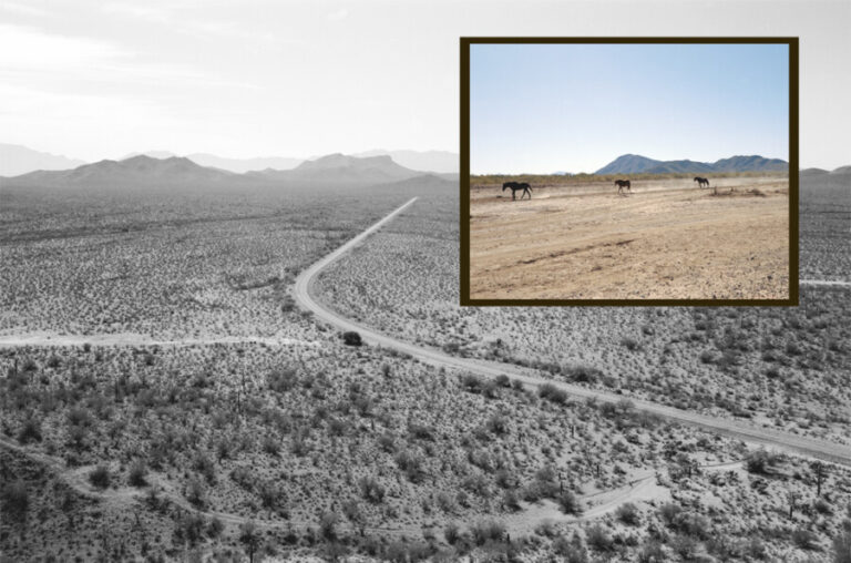 Fred Burkhart: Artist’s Talk & Reading - The Visualist