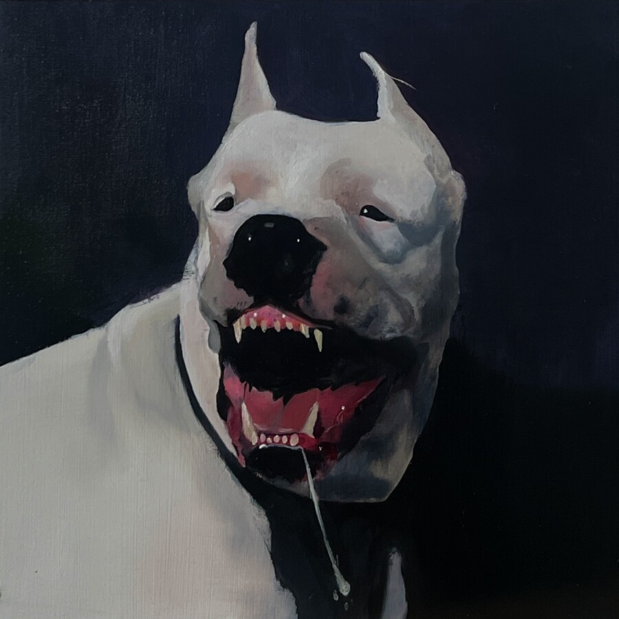 Mike Cloud - The Visualist