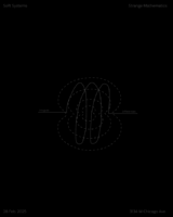 Strange Mathematics - The Visualist