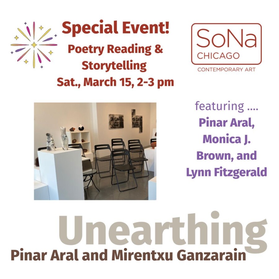 Poetry Reading & Storytelling Event - The Visualist