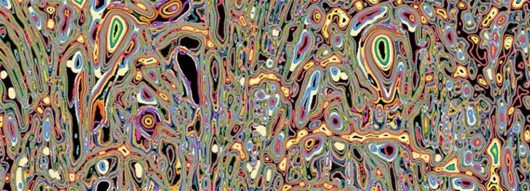Fred Burkhart: Artist's Talk & Reading - The Visualist