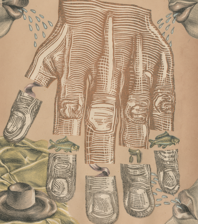Lya Finston: A Lesser Light - The Visualist