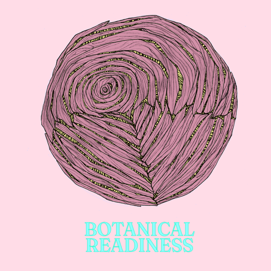 Botanical Readiness, closing event - The Visualist